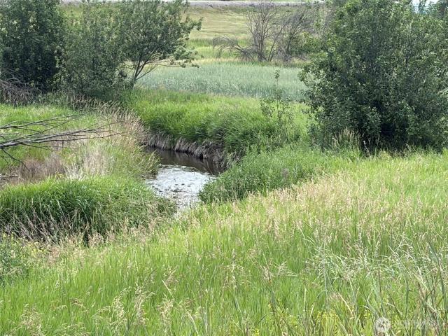1 TBD Lundimo Meadows Tract 1