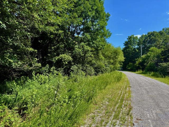 1 Teludachee Trail