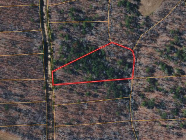 1 Timber View Road