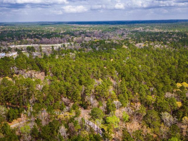 1 Triple Creek Loop, Livingston, TX 77351 | MLS #38698