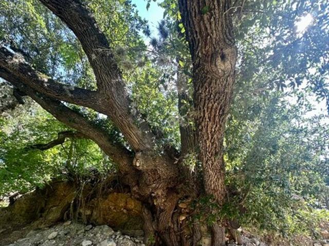 1 Upper Cibolo Creek Rd