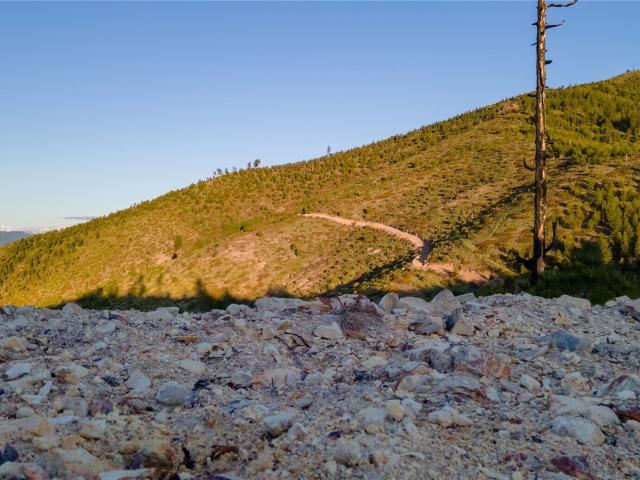 1 usfs 5350