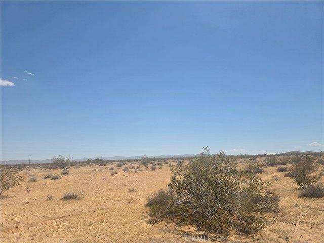 1 Venus, Joshua Tree, CA 92252