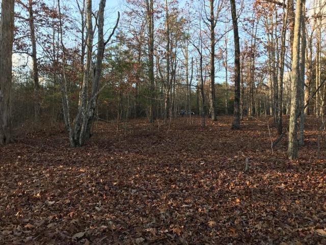 1 Vista View Dr S, Dunlap, TN 37327 | MLS #1508