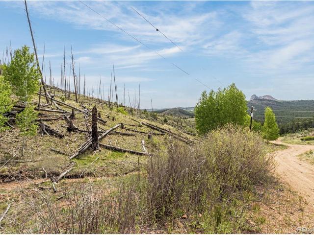1 W Columbine Ave, Woodland Park, CO 80863 | MLS #3681