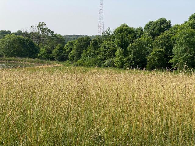 1 W Todd Road
