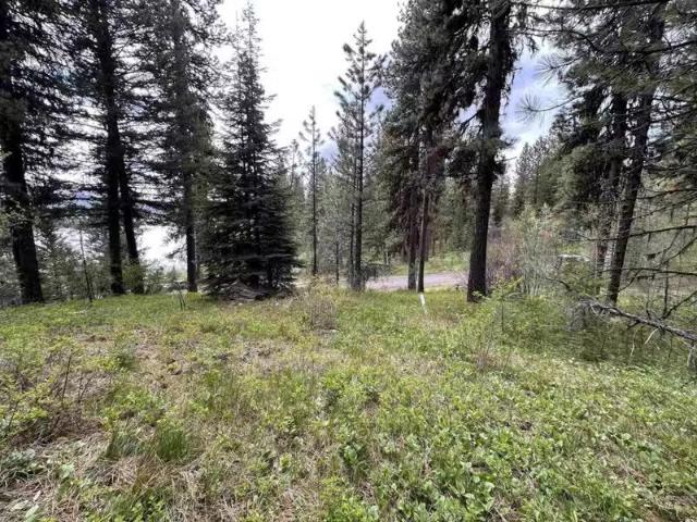 1 WILDERNESS RANCH LN, CASCADE, ID 83611 Vacant Land For Sale.