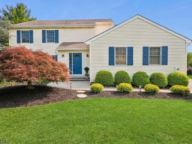 1 Witzling Ct, Raritan, NJ 08822