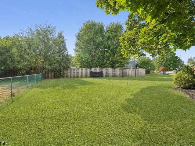 1 Witzling Ct