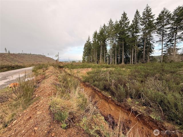 1 xx W California Rd, Shelton, WA 98584 | MLS #2467