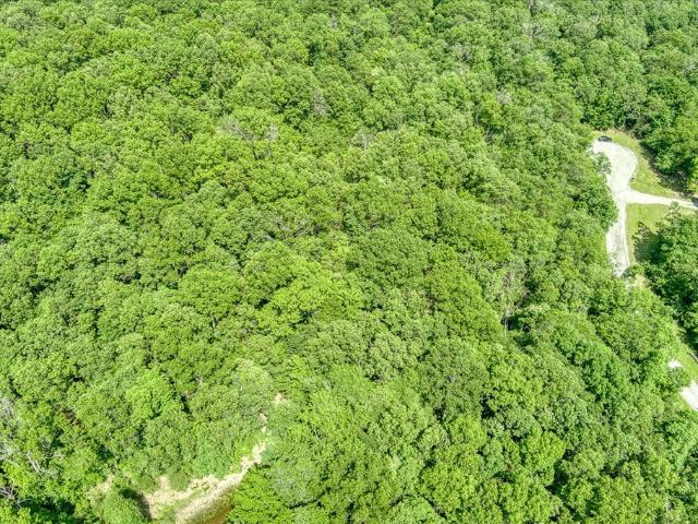 1.07 AC Hemlock Lane