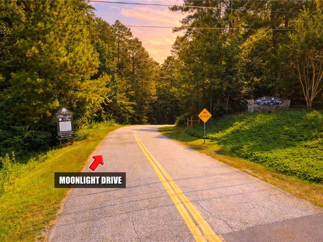 1.07 Acres, Lot 32 Starlight Lane