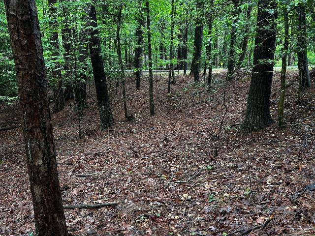 1.08 ACRES 00 Lazy River Lane