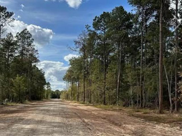 1 0001 County Road 2235