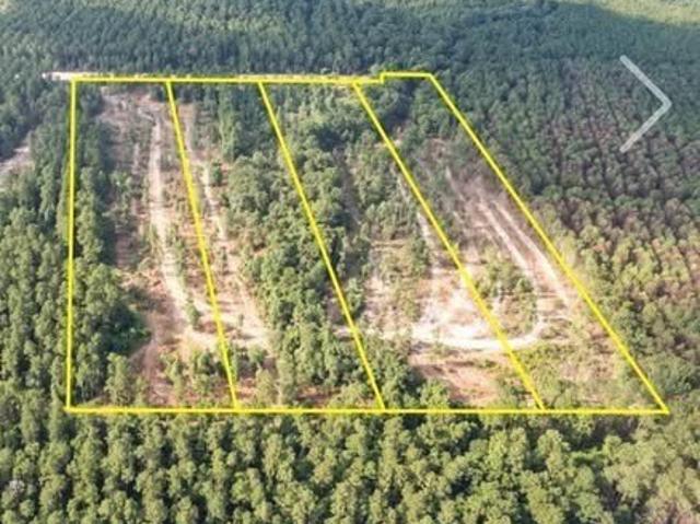 1 0001 County Road 2235, Cleveland, TX 77327