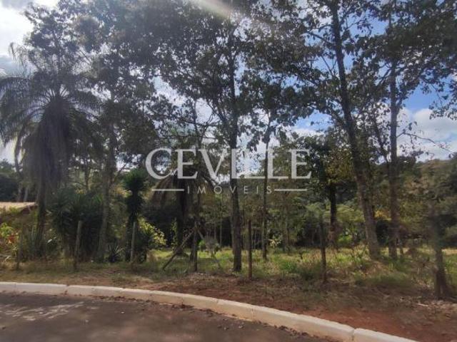 1.000m² + fundo para área de APP