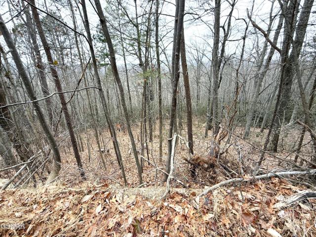 1.01 Ac Green Forest Road