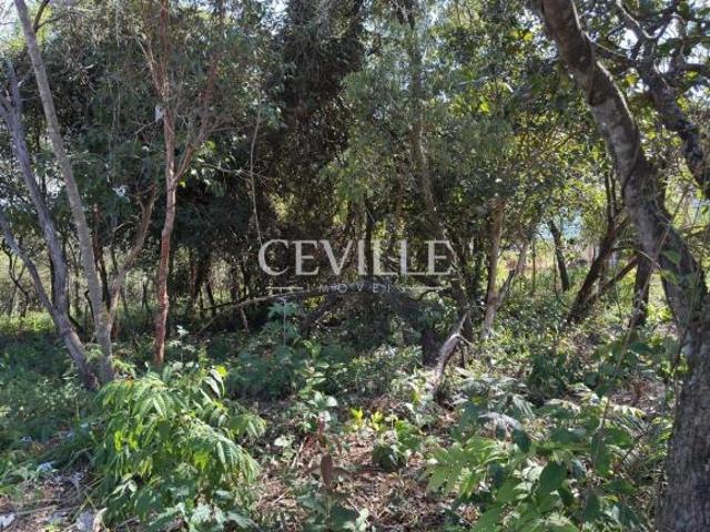 1.028m² com vista