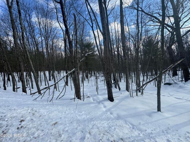 1.03 Acres Gunstock Lane