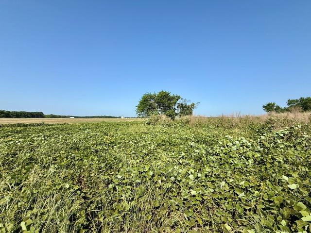 1.0 acre Hollis Dairy Road Lot 3