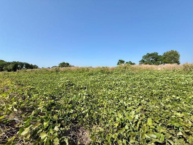 1.0 acre Hollis Dairy Rd Lot 1