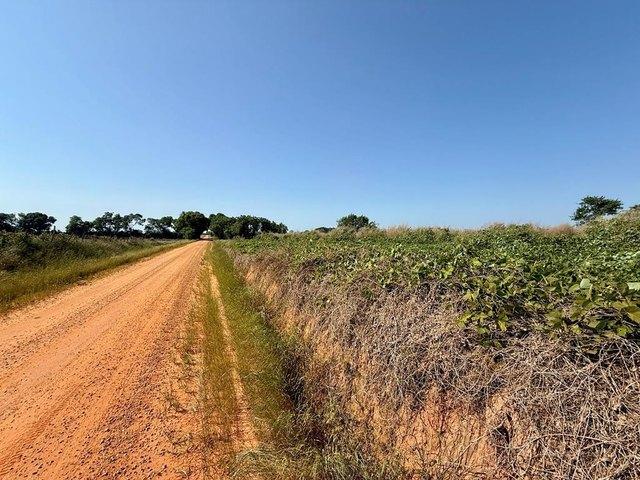 1.0 Acre Hollis Dairy Rd Lot 1, Newton, AL 36352