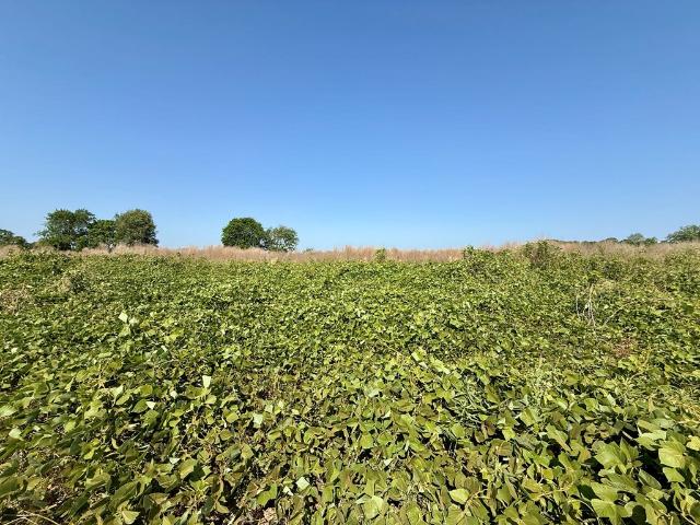1.0 acre Hollis Dairy Rd Lot 2
