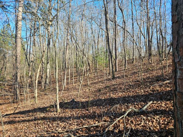 1.16 Marie Dr, Talking Rock, GA 30175 | MLS #422586