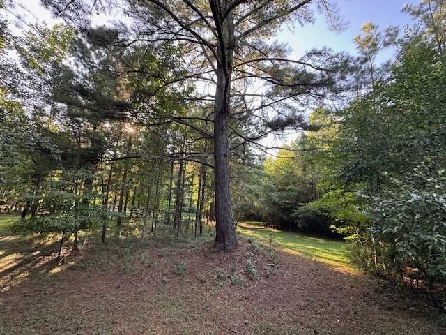 1.18 Newberry Dr, Mineral Bluff, GA 30559 | MLS #417530