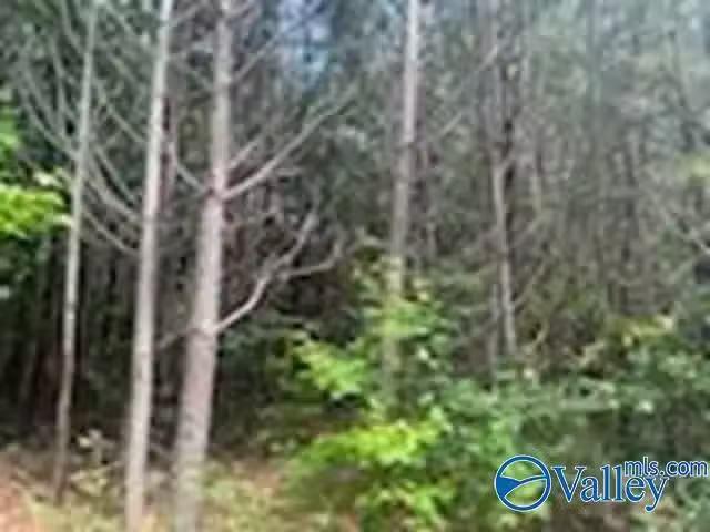 1.10 AC COUNTY ROAD 57, FORT PAYNE, AL 35967