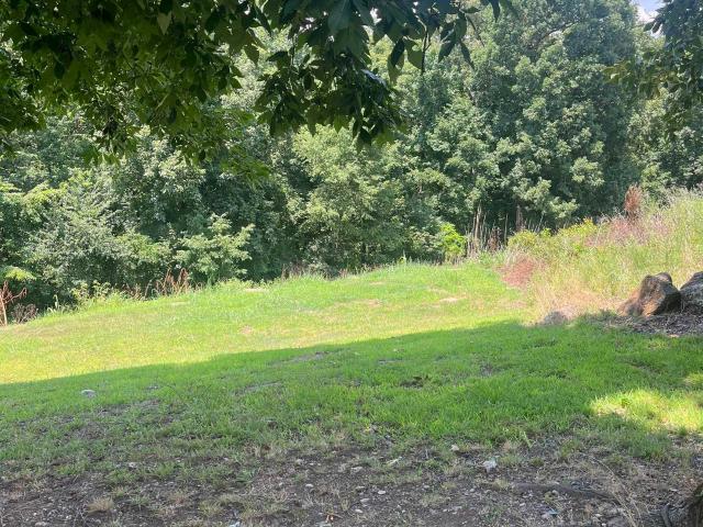1.12 acres Savory Drive