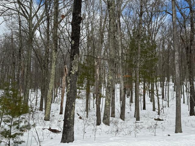 1.12 Acres Urban Road