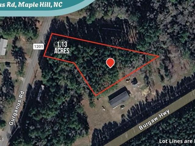 1.13 Acres Gurganus Rd, Maple Hill, NC 28454