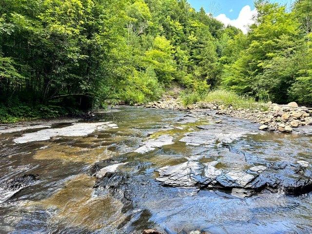 1.1 Tannery Rd Unit 1, Western, NY 13486