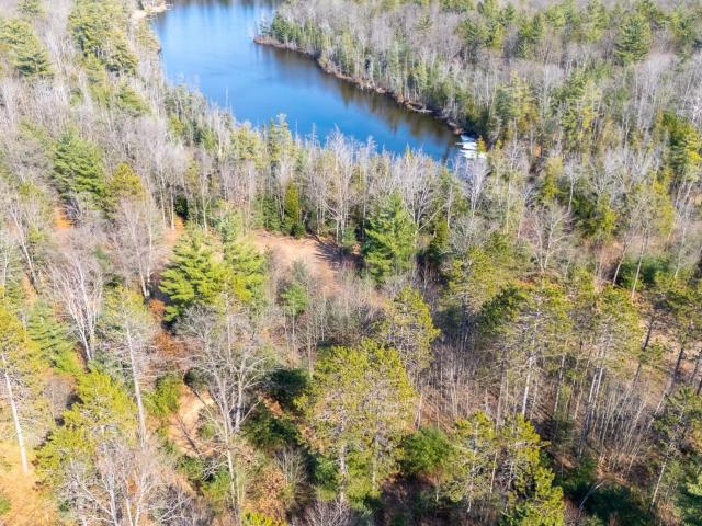 1.24 Acres Snowbowl Road