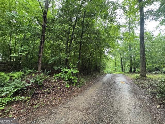 1.23 ac Bear Run Cir, Unit 101 1, Ellijay, GA 30540 | MLS #10581