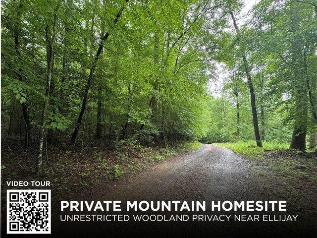 1.23 Ac Bear Run Cir Lots 101 & 117, Ellijay, GA 30540