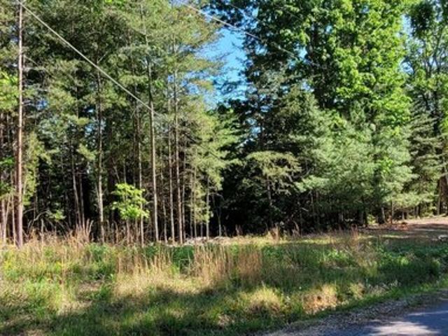 1.23 Acres Dogwood Ct, Spring City, TN 37381