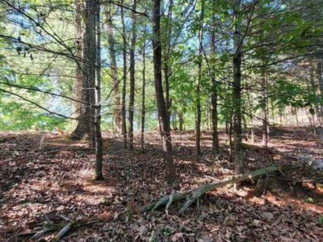 1.23 Acres Dogwood Ct, Spring City, TN 37381
