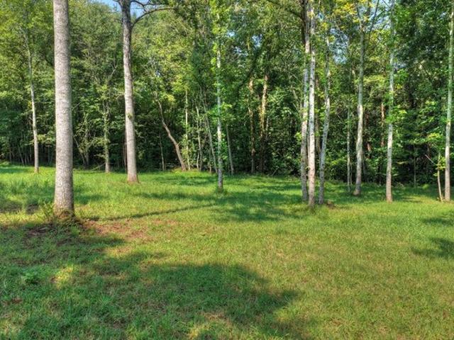 1.35 Ac Wolf Creek Rd, Murphy, NC 28906