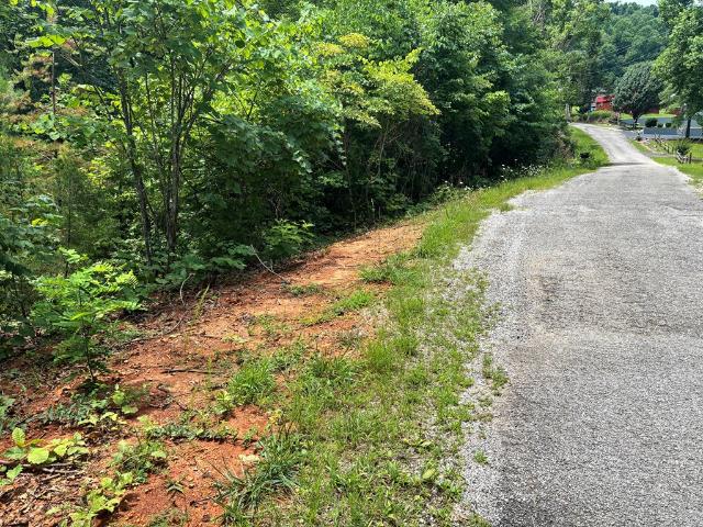 1.31 AC Wood River Ln
