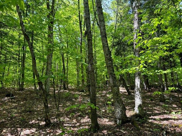 1.3 Cobble Creek Rd Lot 3, Chester, NY 12853