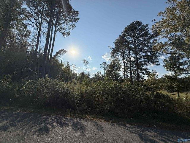 1.46 Acres 2nd Ave, Altoona, AL 35952