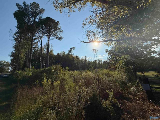 1.46 Acres 2nd Avenue