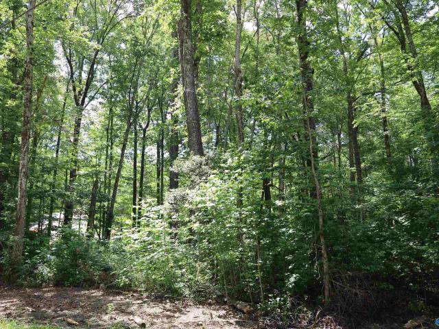 1.47 Acres Libby Lane