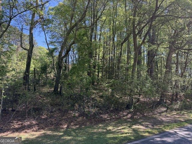 1.47 Acres Roberts Quarters Rd, Concord, GA 30206