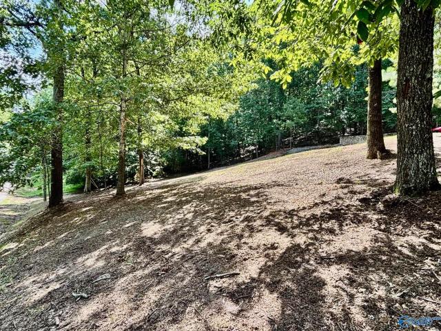 1.47 acres Sibert Drive