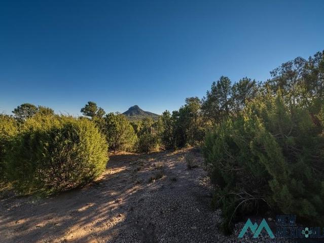 1.48 Acres of Crb # 26A, Serafina, NM 87569