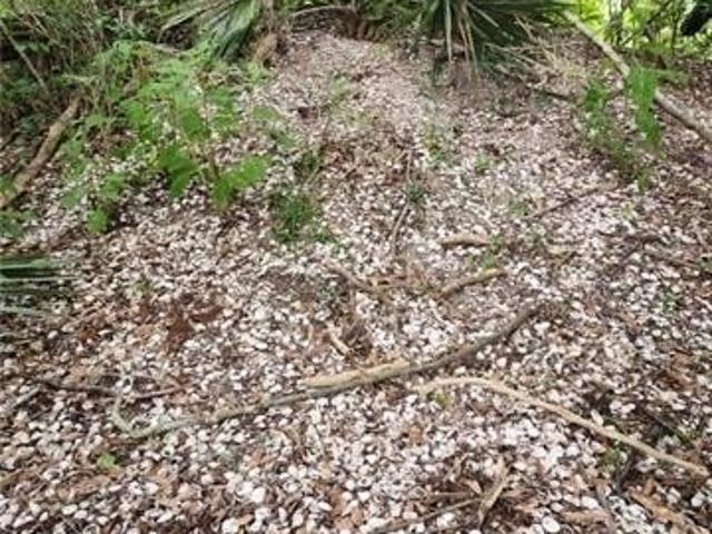 1.40 Acres Vacant Land Lot 133, Ponchatoula, LA 70454