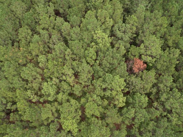 1.43 Acres W Hemlock St